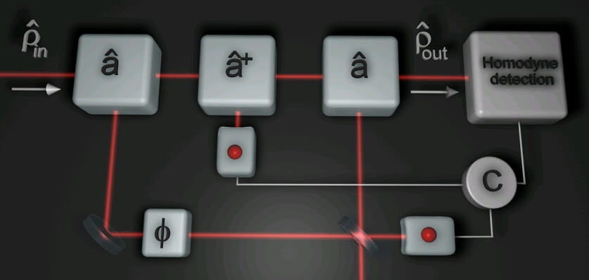 First Direct Test Of Quantum Commutation Rules Quantum And Extreme Light